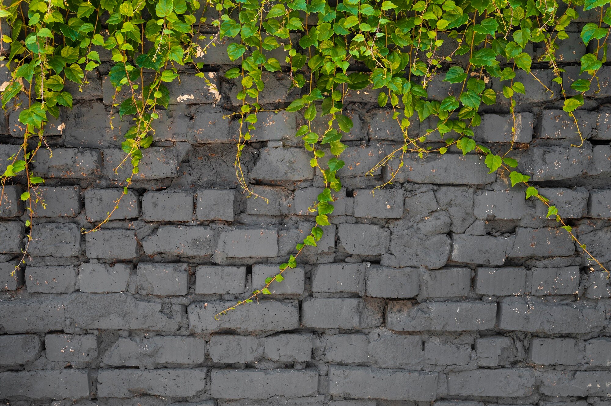 Choosing the Right Retaining Wall Blocks - Sun Spirit